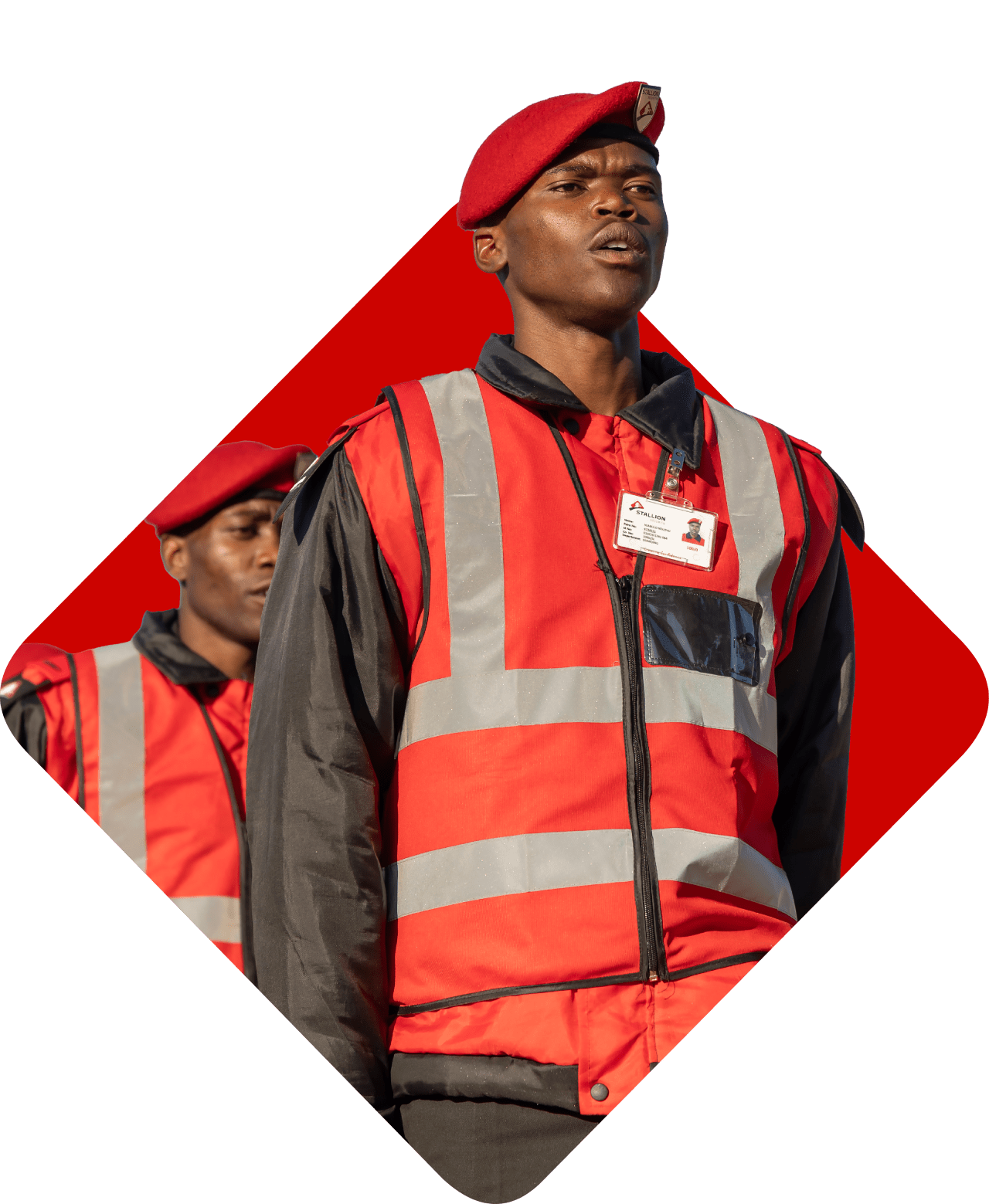 Stallion Integrated | Creating Confidence